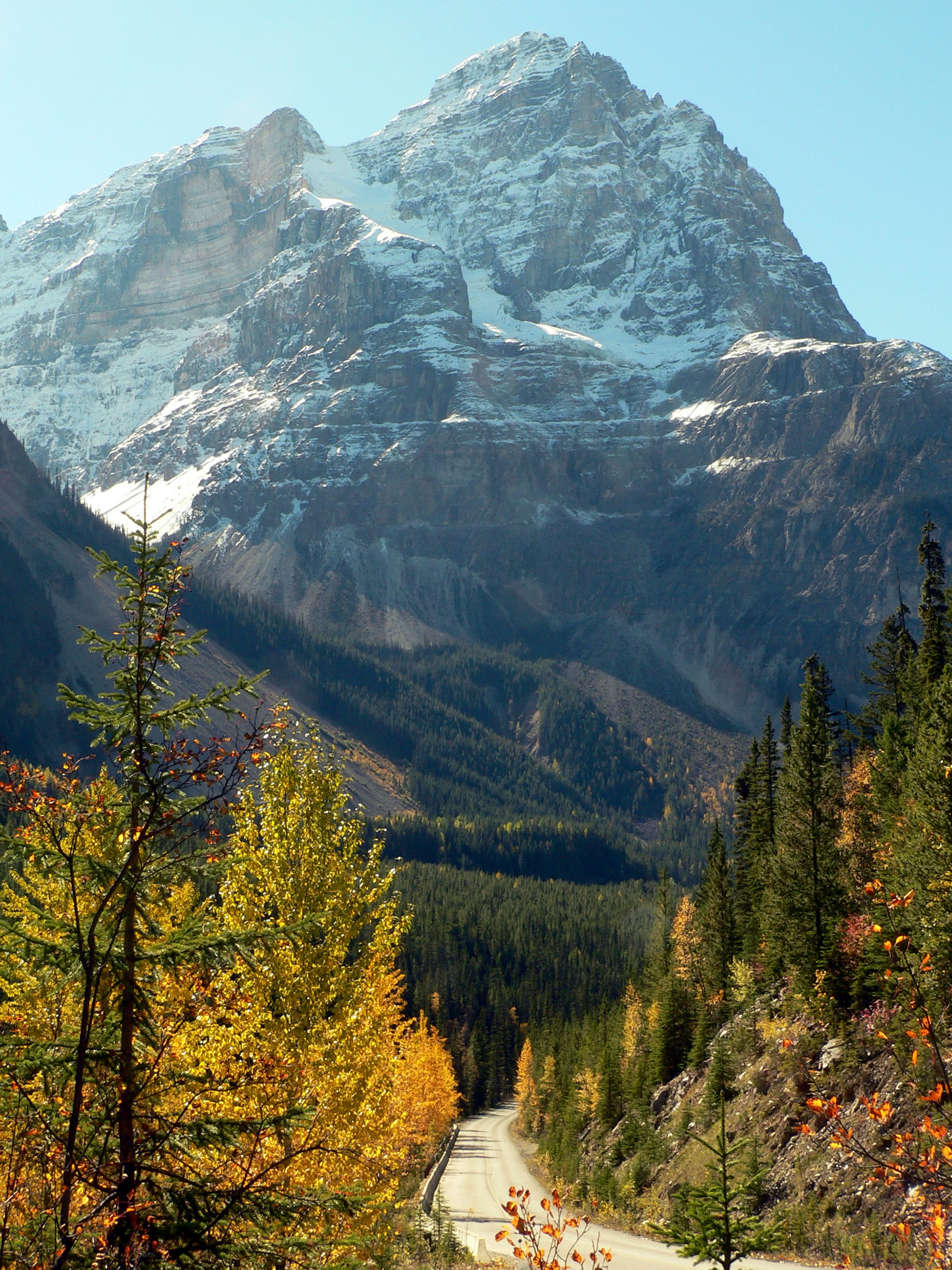 Bicycling in Yoho National Park
